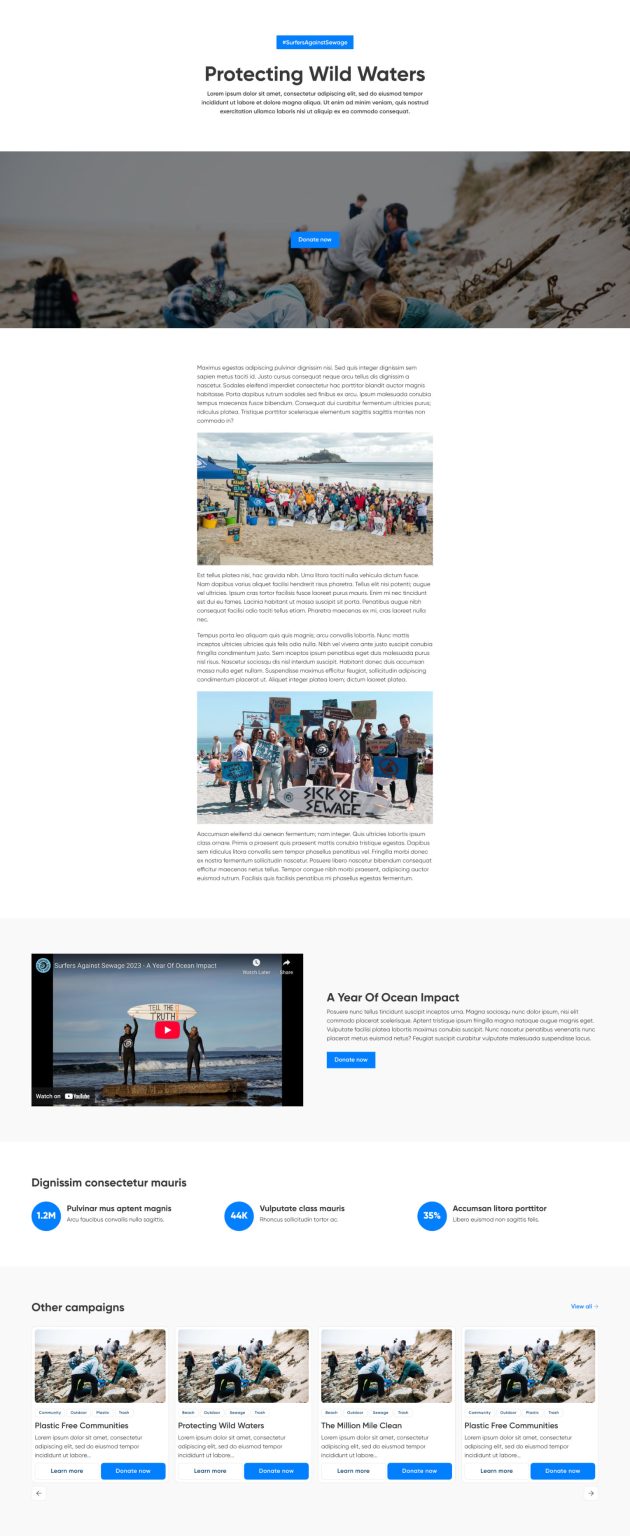 Single Campaign – Bricks Library